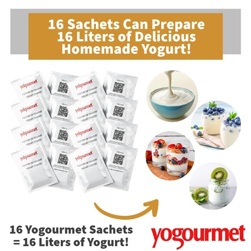 Yogourmet Yogurt Starter (16 Pack Bulk Version) - Make Yogurt at Home - Starter Culture - All Natural, Gluten Free, Kosher, Halal - 3 g Sachets