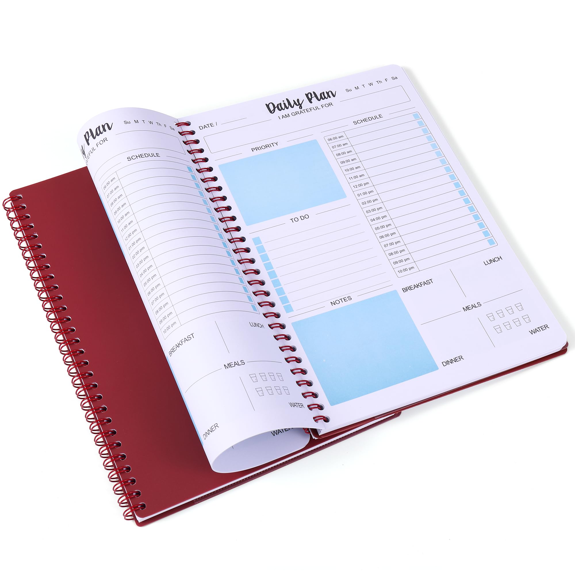 SeQeS Undated Daily Planner Notebook - Hourly Schedule, To-Do Lists, Meal Planning, and More - Perfect for Men and Women On-the-Go - 120 Pages (7x10")" (Green)