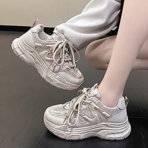 Women’s Sport Shoes Low Heel Wedge Sneakers Fashion Platform Sneakers Low Top Trainers Walking Shoes Breathable Casual Lace Up Comfort Walkout Shoes Athletic Tennis Shoes Grey