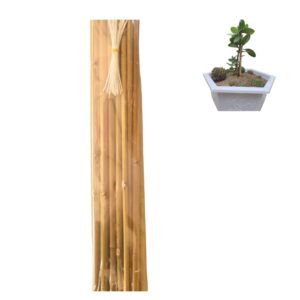 LJAAJSUV 20 Pcs - 18 inches Plant Stakes Natural Garden Bamboo Sticks for Indoor and Outdoor Plants, Plant Support Stakes for Tomatoes, Beans, Potted Plants.