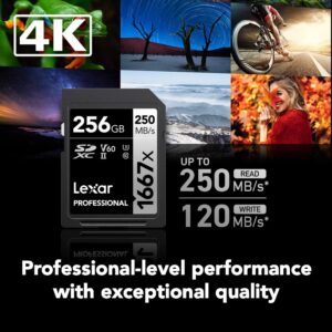 Lexar 64GB and 128GB SDXC Memory Cards Bundle | UHS-II