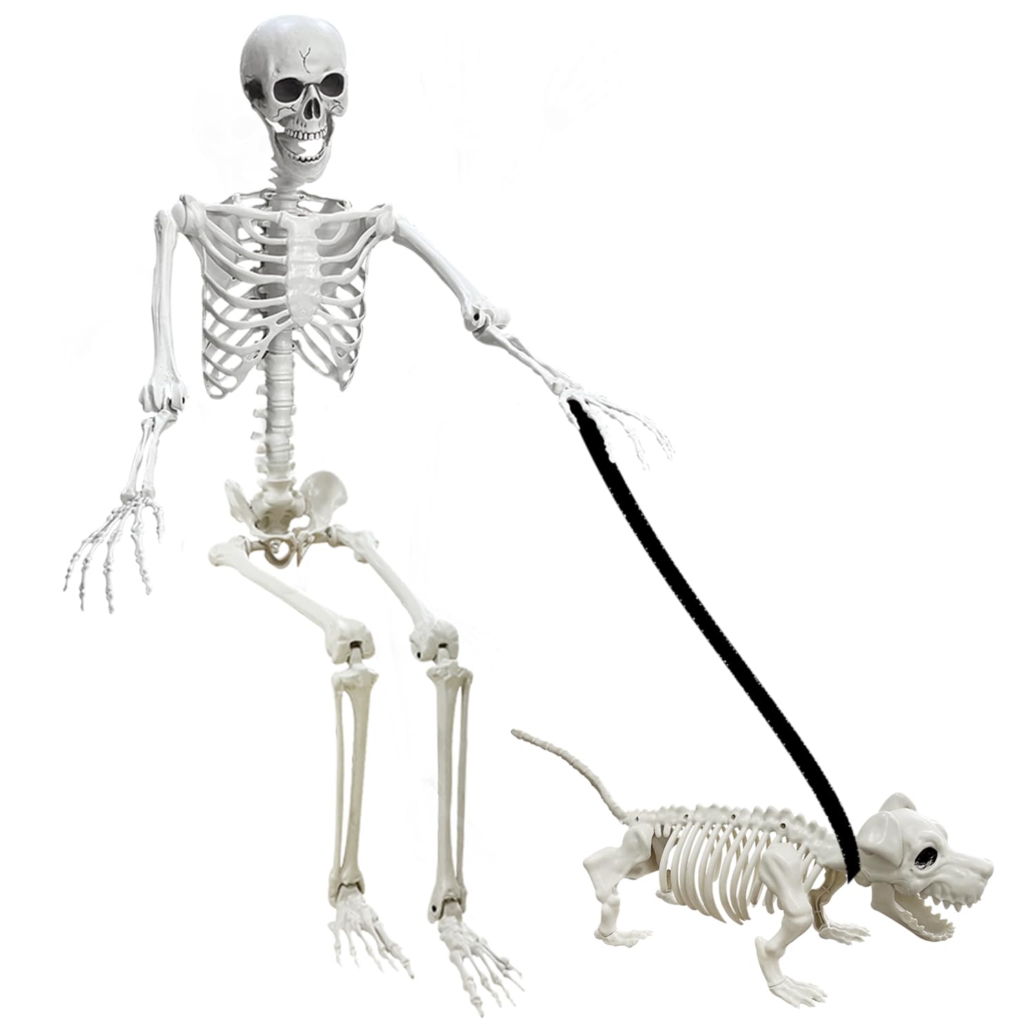 5.4Ft Halloween Life Size Human Skeletons with Dog Skeleton,Poseable Life Size Skeletons Plastic Human Bones with Movable Joints for Halloween Decoration