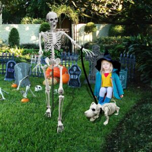 5.4Ft Halloween Life Size Human Skeletons with Dog Skeleton,Poseable Life Size Skeletons Plastic Human Bones with Movable Joints for Halloween Decoration