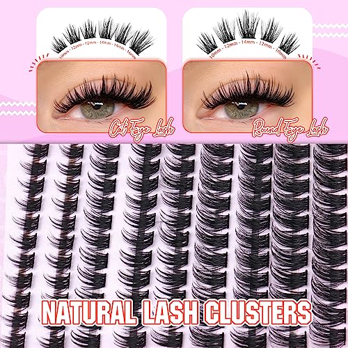 DIY Lash Extension Kit Natural Lash Clusters Fluffy Eyelash Extension Kit Individual Lashes Bond and Seal Wispy Eyelash Clusters with Bond and Seal Lash Applicator Tool DIY at Home by Eefofnn