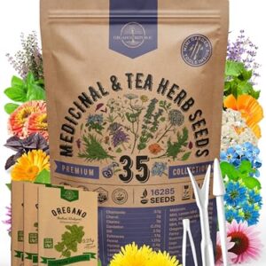 35 Medicinal & Tea Herb Seeds Variety Pack for Indoor & Outdoors. 16,300+ Non-GMO Heirloom Garden Seeds: Anise, Bergamot, Borage, Cilantro, Chamomile, Dandelion, Rosemary Seeds & More