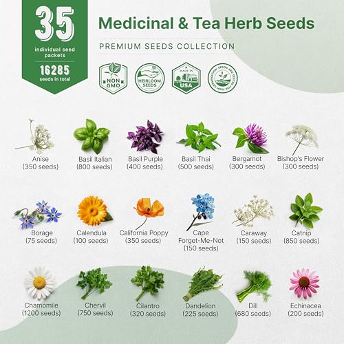 35 Medicinal & Tea Herb Seeds Variety Pack for Indoor & Outdoors. 16,300+ Non-GMO Heirloom Garden Seeds: Anise, Bergamot, Borage, Cilantro, Chamomile, Dandelion, Rosemary Seeds & More