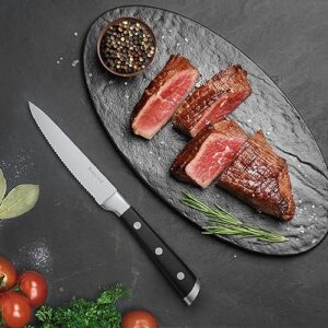 Barenthal Steak Knives, Steak Knife Set Dishwasher Safe, German Stainless Steel Serrated Steak Knife Set Service for 6, 6 Pieces Steak Knife with Gift Box