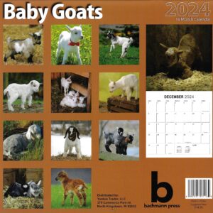 2024 Baby Goats Full Size Wall Calendar for Planning, Scheduling, and Organizing