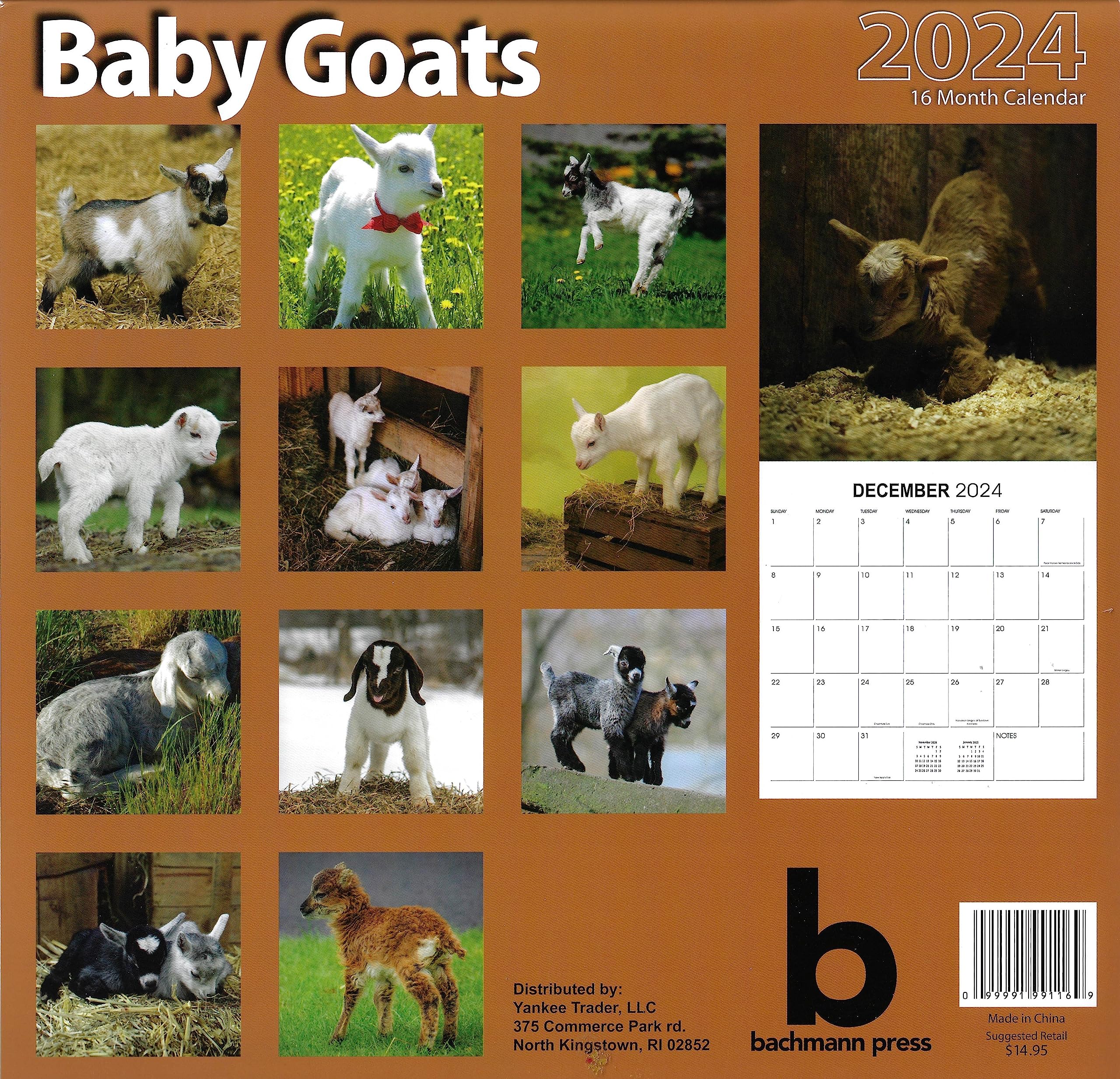 2024 Baby Goats Full Size Wall Calendar for Planning, Scheduling, and Organizing