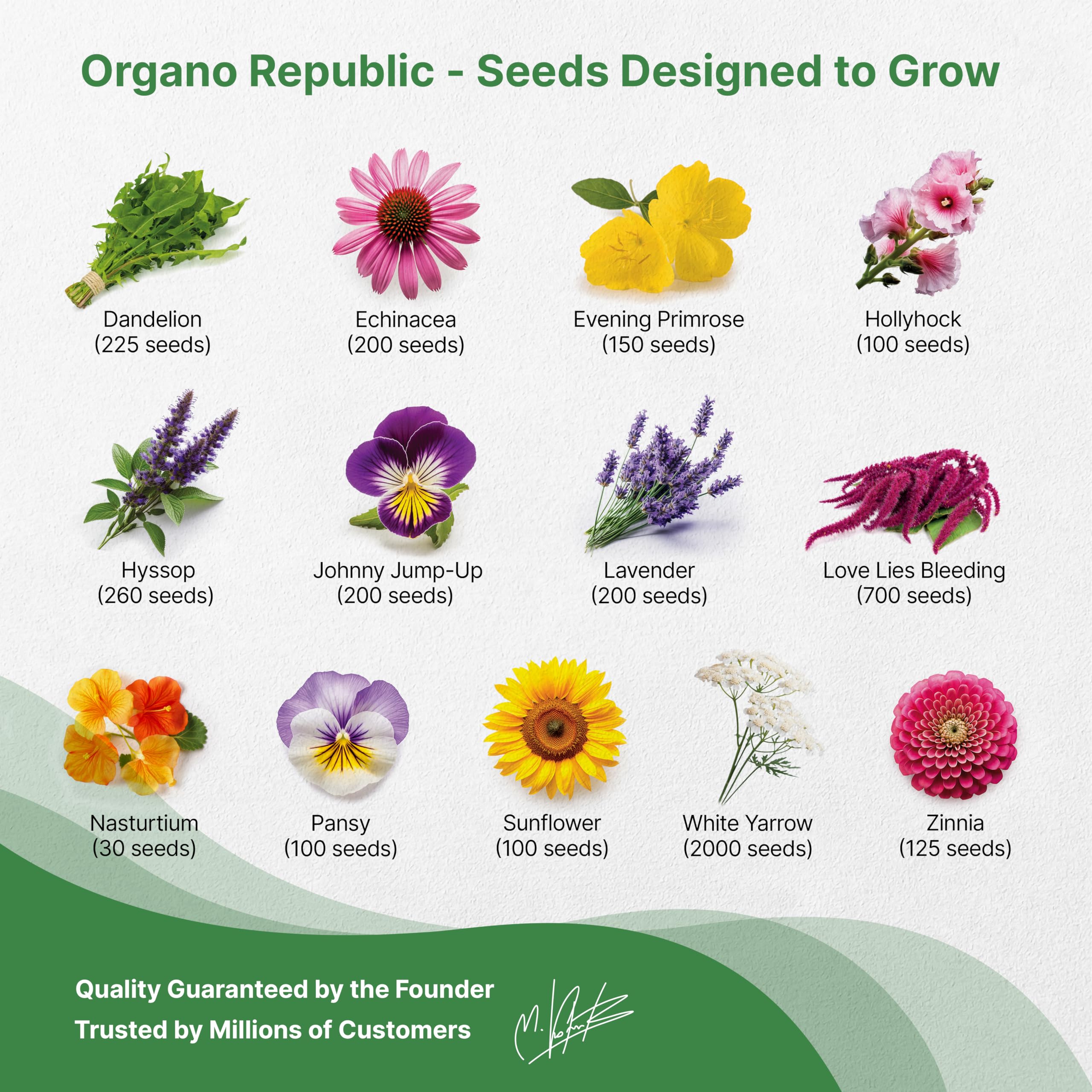 Organo Republic 25 Edible Flower Seeds Variety Pack- Indoor/Outdoor. 8000+ Non-GMO Heirloom: Anise, Hyssop, Nasturtium, Pansy, Echinacea, Lavender, Chives Seeds & More