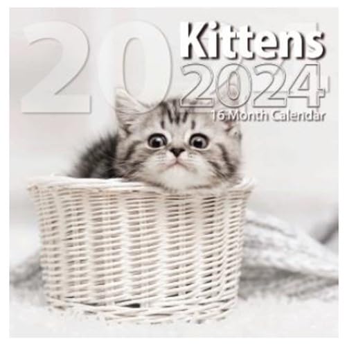 2024 Kittens Full Size Wall Calendar for Planning, Scheduling, and Organizing