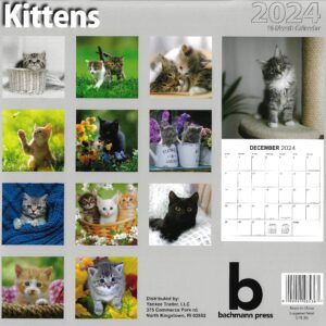 2024 Kittens Full Size Wall Calendar for Planning, Scheduling, and Organizing