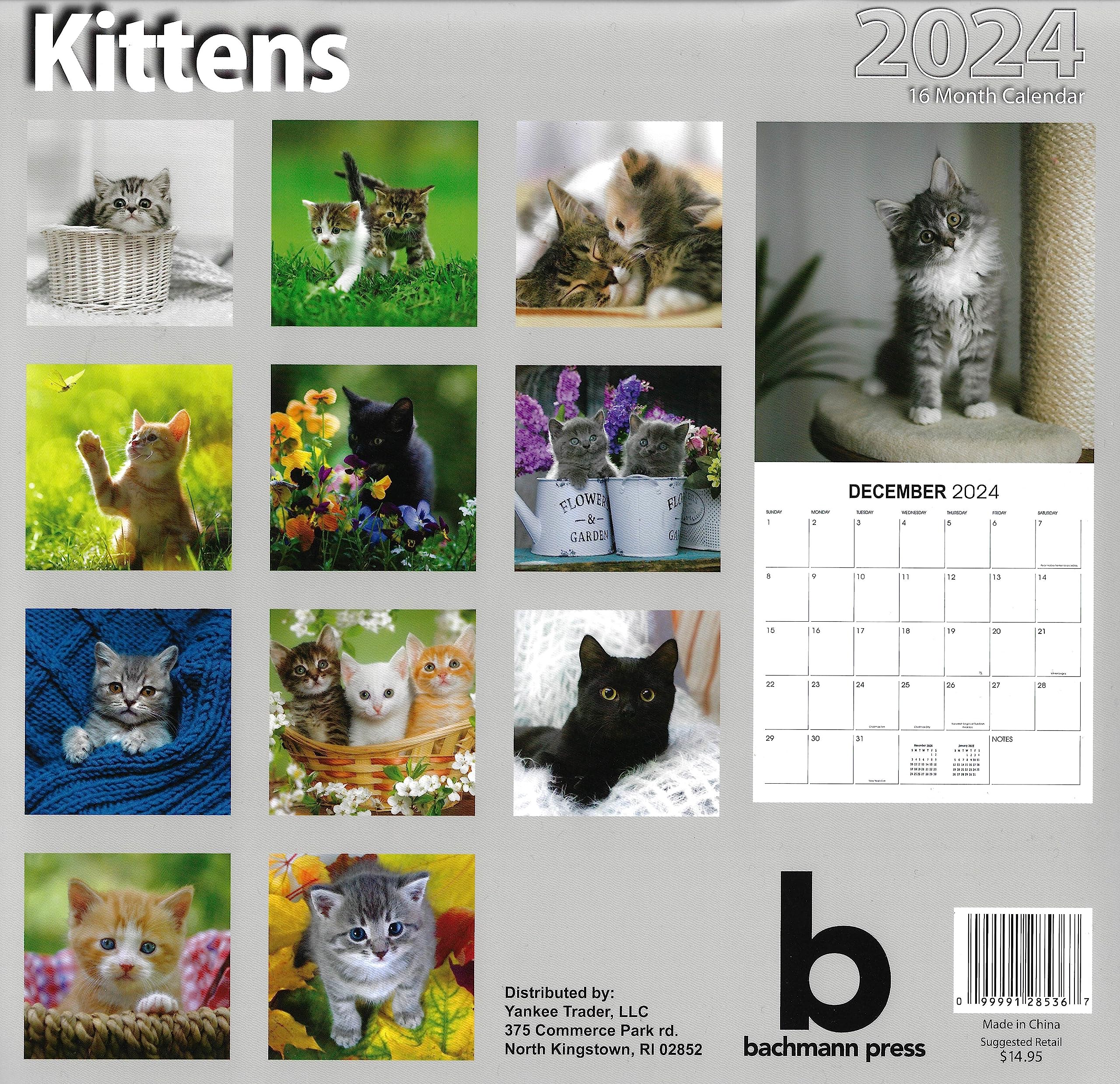 2024 Kittens Full Size Wall Calendar for Planning, Scheduling, and Organizing