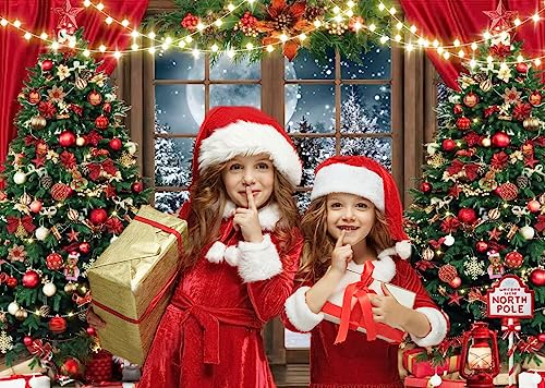 CYLYH 7x5ft Christmas Backdrop Xmas Window Photography Backdrop Winter Dream Wonderland Snow Tree Red Curtain Christmas Festival Party Banner Backdrop