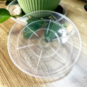 NIMYAU Clear Plant Saucer 6 Pack 4 6 7 8 10 12 14 16 inch, Heavy Duty Plastic Plant Tray Saucers for Indoors Outdoors, Plant Drainage Tray, Flower Planter Water Drip Trays for Pot (6", Clear)