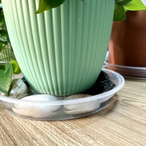 NIMYAU Clear Plant Saucer 6 Pack 4 6 7 8 10 12 14 16 inch, Heavy Duty Plastic Plant Tray Saucers for Indoors Outdoors, Plant Drainage Tray, Flower Planter Water Drip Trays for Pot (6", Clear)