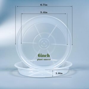 NIMYAU Clear Plant Saucer 6 Pack 4 6 7 8 10 12 14 16 inch, Heavy Duty Plastic Plant Tray Saucers for Indoors Outdoors, Plant Drainage Tray, Flower Planter Water Drip Trays for Pot (6", Clear)