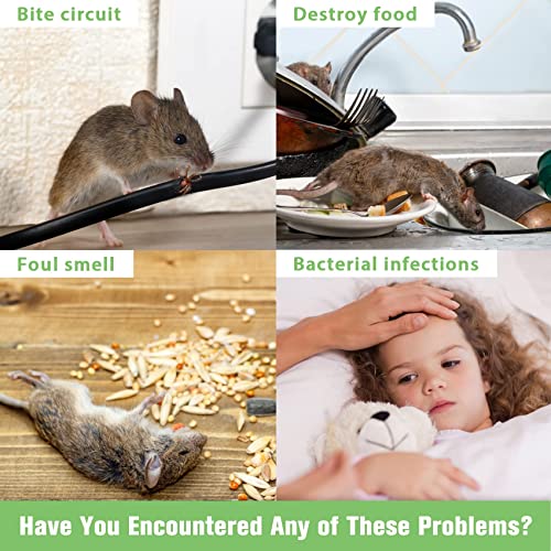 4 Pack Mouse Repellent Mice Repellent, Peppermint Oil to Repel Mice and Rats, Rat Rodent Repellent Pest Insect Control