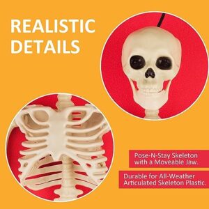 GoClimber 2 Packs Posable Halloween Skeletons, 16" Full Body Posable Joints Skeletons for Halloween Decoration, Graveyard Decorations, Haunted House Accessories, Spooky Scene Party Favors