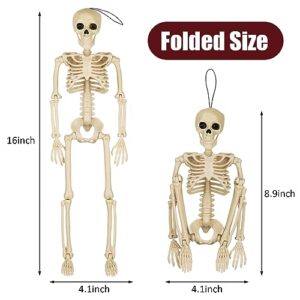 GoClimber 2 Packs Posable Halloween Skeletons, 16" Full Body Posable Joints Skeletons for Halloween Decoration, Graveyard Decorations, Haunted House Accessories, Spooky Scene Party Favors