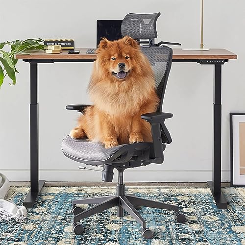 Anidaroel Home Office Chair Mat for Hardwood Floor, 48"x60" Office Chair Rug Protector for Rolling Chair, Computer Gaming Chair Mat, Low Pile Carpet Floor Chair Mat