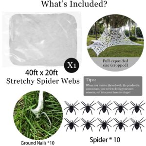 wymulot 800 Sqft Giant Spider Web Halloween Decorations Outdoor with 10 Small Spiders &10 Ground Nails Stretchy Beef Cloth Netting Cut-Your-Own Flexible Elastic for Yard Party Decor dongdongwang2