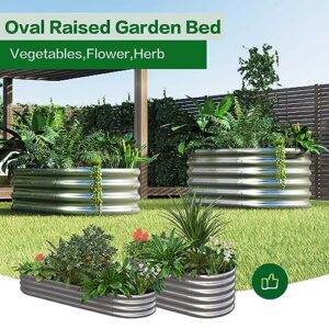 Growgoes Raised Garden Bed Kit, Galvanized Raised Garden Bed for Outdoor,Metal Planter Box for Planting Outdoor Plants Vegetables,Herb.4X2X1FT-Silver