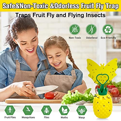 HiAnifri Fruit Fly Trap for Indoors, 2023 Upgrade Fruit Fly Trap with Double Side Sticky Trap, Non-Toxic Reusable Fly Catcher Gnats Killer Trap Indoor Comes with Bait for Home/Plant/Kitchen (2 Pack)