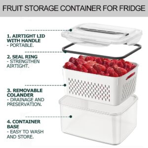 MsPrLs Fruit Storage Containers for Fridge 5 Pack | Fruits and Veggie Containers for Refrigerator with Colander | Keep Produce Vegetables Lettuce Fresh Longer | 5 Stackable Size | Rectangle