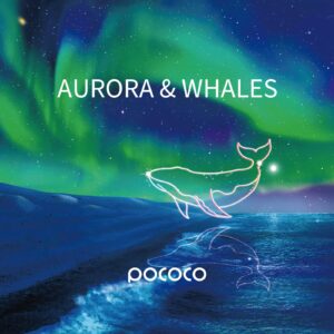 【Limited Time Offer: 16% Off 】POCOCO Galaxy Projector + Aurora and Deep Sea - Discs (6 Pieces)