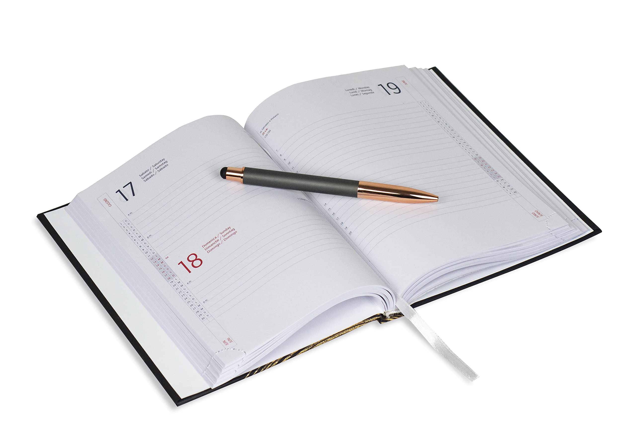 Daily Organiser Diary 2025 cm, 15 x 21 cm, Closed January-December 2024, Hardcover