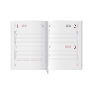 Daily Organiser Diary 2025 cm, 15 x 21 cm, Closed January-December 2024, Hardcover