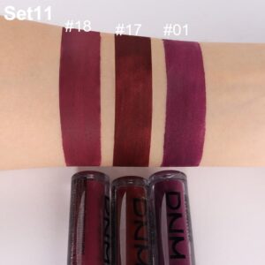 evpct DNM 3Pcs Dark Red Purple Plum Matte Liquid Lipstick Lip Stain Sets for Women Matte+Lipstick Dark Maroon Long Lasting Permanent Lipstick 24 hr Hours Magic Lipstick 24 Hours original Waterproof