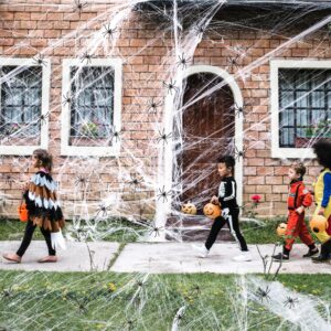 1000 sq ft Halloween Spider Webs Decorations with 120 Spiders, Super Stretchy Cobwebs for Halloween Indoor and Outdoor Haunted House Decor Party Supplies (1000 Sq ft)