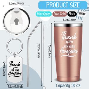 Yinkin Employee Appreciation Gifts 20 oz Thank You for Being Awesome Tumbler with Keychain for Women Men Christmas Nurse Teacher Coworkers Gifts (Multicolor,12 Set)