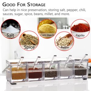 V·RESOURCING Clear Seasoning Box, 5 Pieces Clear Seasoning Storage Container for Spice Salt Sugar Cruet,Condiment Jars with Spoons