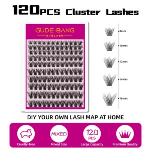 GUDE BANG Lash Clusters, 120pcs DIY Eyelash Extensions at Home, Mix Individual Cluster Eyelashes, Cluster Lashes Soft for Personal Makeup Use (FD-14-D, Mix 8-16mm)