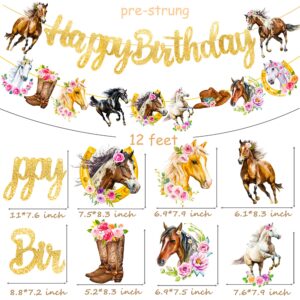 Cowgirl Happy Birthday Banner Cowgirl Birthday Party Supplies Glitter Western Cowgirl Theme Birthday Banners Decorations for Western Girl’s Birthday Party Horse Birthday Party Baby Shower Supplies