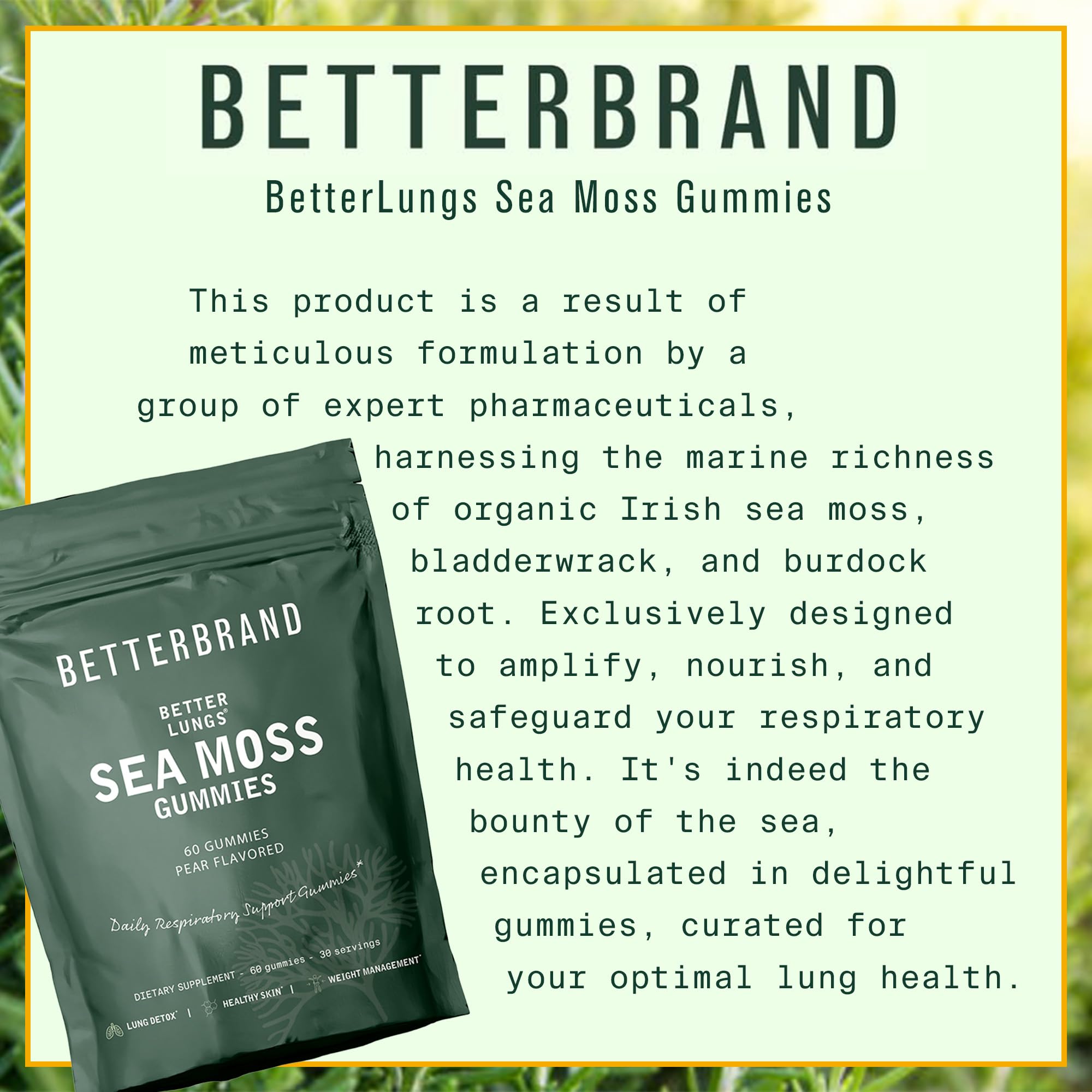 Betterbrand BetterLungs Pear Flavored Sea Moss Gummies - 1600mg Bladderwrack & Burdock Root for Lung & Immune Support, 60 Count