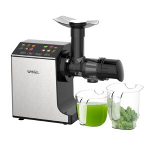 whall masticating slow juicer, professional stainless juicer machines for vegetable and fruit, touchscreen cold press juicer with 2 speed modes