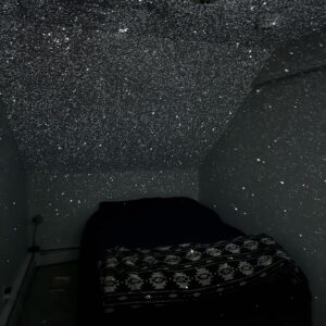 Dark Skys DS-FX Home Planetarium Star Projector