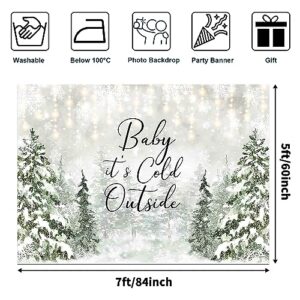 Avezano Baby It's Cold Outside Backdrop Winter Baby Shower Photo Background Props Winter Wonderland Party Decoration Winter Snowflakes Newborn Photo Photo Banner (Green, 7x5ft)