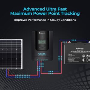 Renogy 40A 12V/24V Solar Charge Controller and 100W 12V Monocrystalline Solar Panel