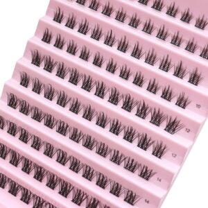 Losha Lash Clusters Wispy DIY Lash Extension 8-16mm Eyelash Clusters 110pcs Natural Cluster Lashes at Home D Curl Fluffy Eyelash Extensions (Fairy)