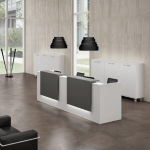 UGOS ICN 53" Modern Reception Desk, Multifunctional Modern Transaction Counter Top, Laminate Desktop, Standing Front Table for Office, Home, School, Salon, Spa - White & Anthracite Gray