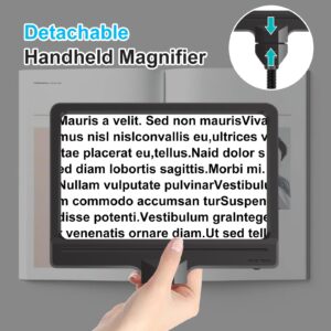 JUOIFIP 5X Magnifying Glass with Light and Stand, Adjustable Brightness Magnifying Floor Lamp, Gooseneck Arm Lighted Magnifier for Reading, Crafts and Close Work