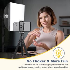 Torjim Softbox Photography Lighting Kit, 16'' x 16'' Professional Softbox Lighting Kit with 85W 3000-7500K LED Bulbs, Studio Lights for Photography/Video Recording/Live Streaming/Portraits Shooting