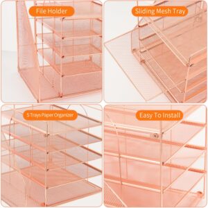 LEKETREE Desk Organizers and Accessories, 5-Tier Paper Letter Tray Organizer with File Holder, Office Supplies for Women, Desk Accessories & Workspace Organizers(Rose Gold)