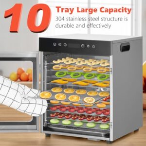 Hiteemer Food Dehydrator, 10 Stainless Steel Trays Dehydrators for Food and Jerky, Meat, Beef, Veggies, Fruits, 800W Dehydrated Dryer Machine with Hanger Hook, 24H Timer, Temperature Control, Recipe