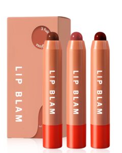 hydrating tinted lip balm set-3pcs natural gloss lip balm plumper,long lasting lipgloss creamy lipstick,lightweight high-pigment lip stain pen lip crayon stick, christmas makeup gift for women-set a